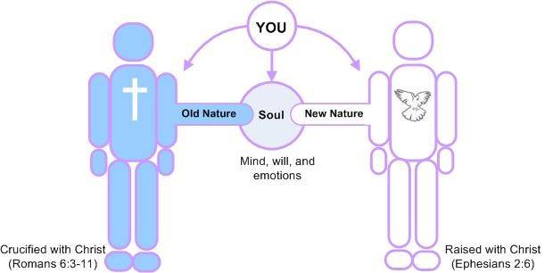 Our Position in Christ - Yesterday's Prophecy, Today's News